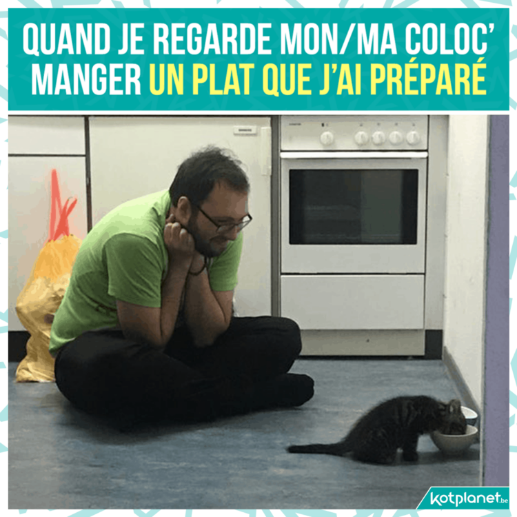 6 memes qui résument bien ta vie en coloc'