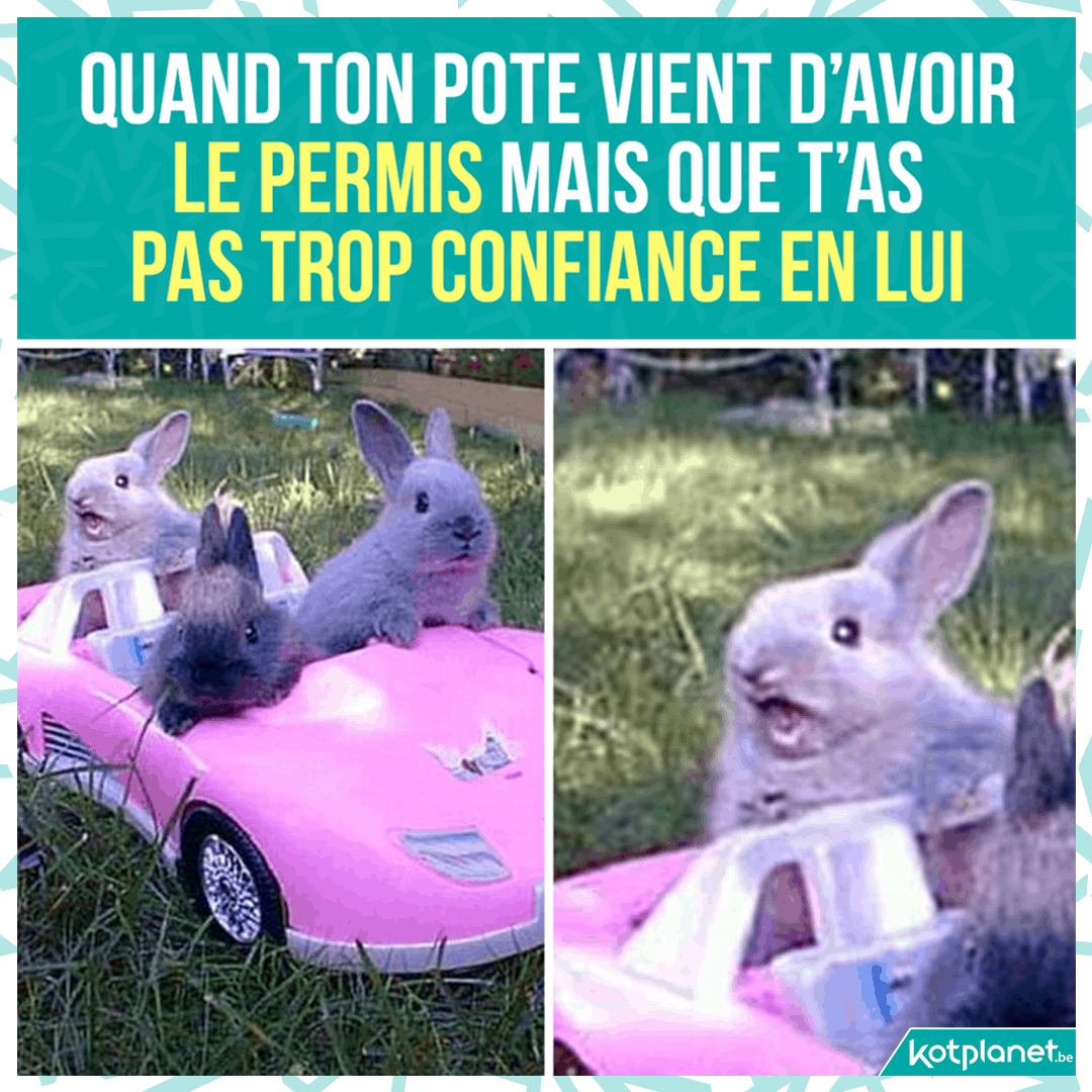 Ces 6 moments qui te rappellent que t'as pas le permis