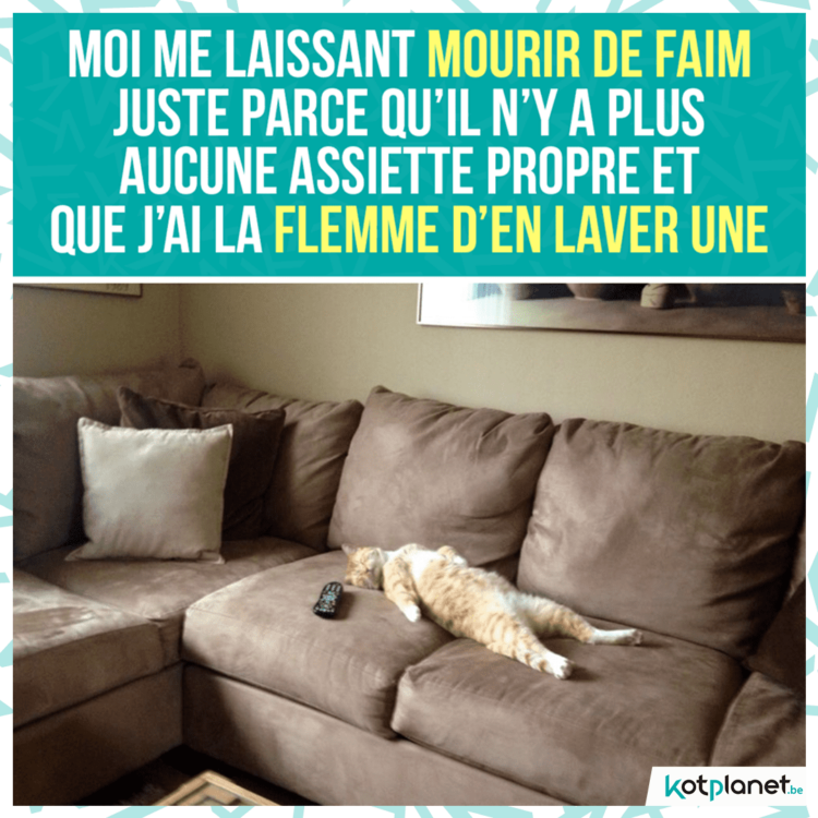 5 memes qui illustrent bien ton niveau de flemme