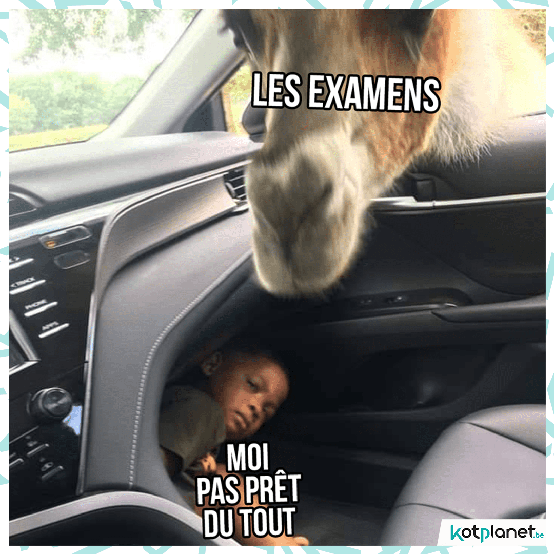 Si tes examens te stressent, ces 5 memes sont pour toi