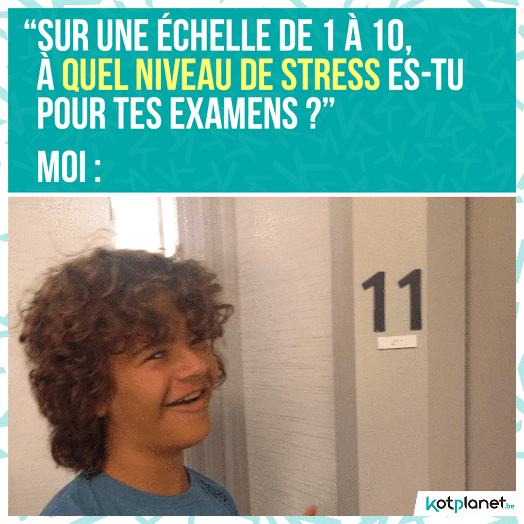 6 memes qui résument bien ton niveau de stress en ce moment