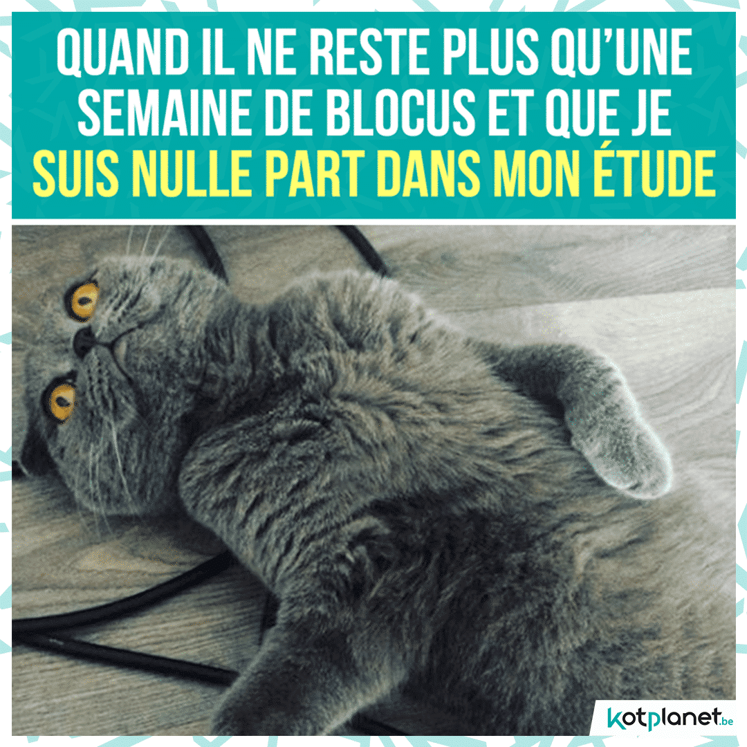 5 memes qui vont te rappeler que le blocus approche