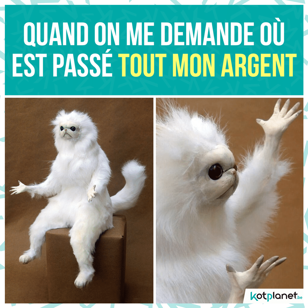 5 memes qui vont te rappeler que tu ne sais pas gérer ton argent