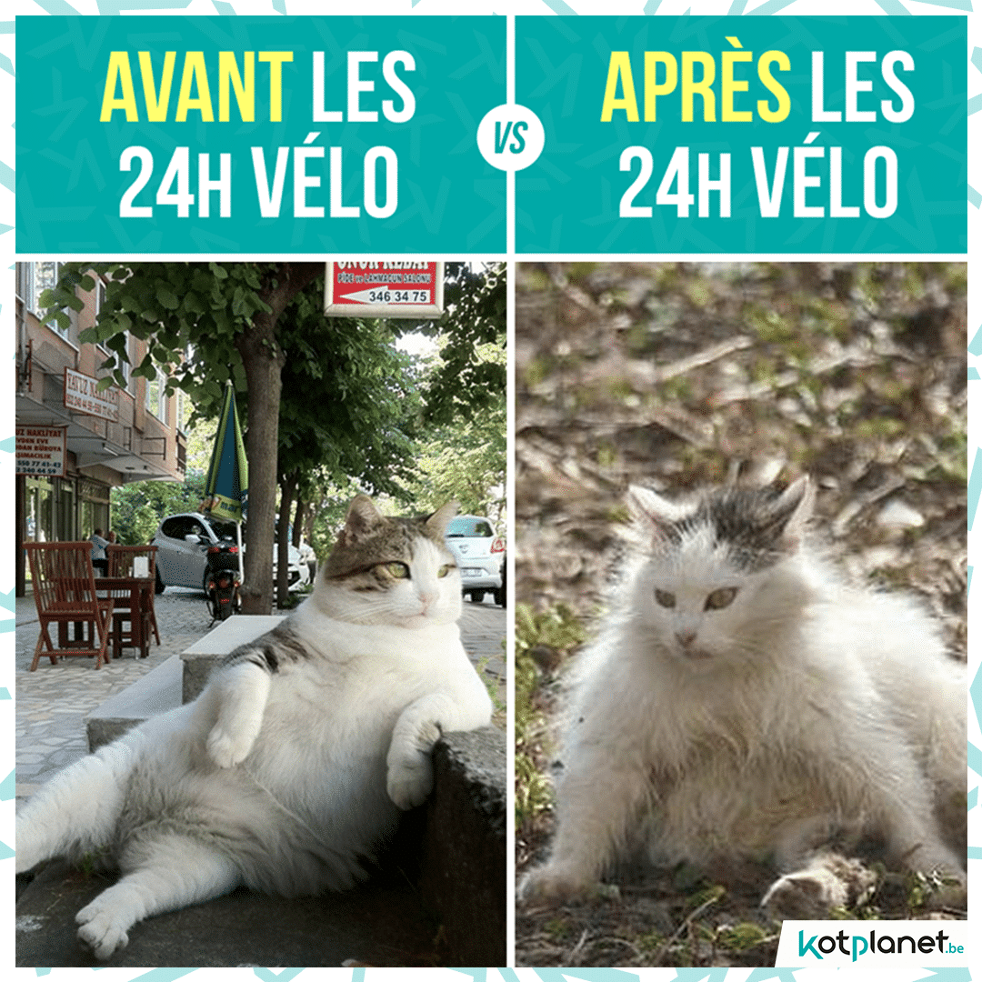 5 memes qui résument bien tes 24h vélo