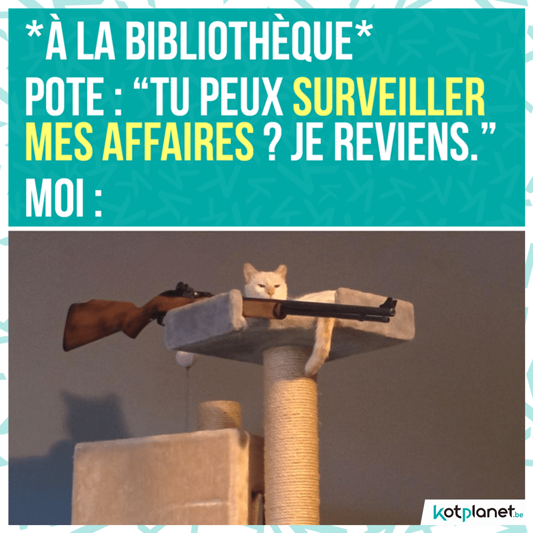 6 memes qui vont te rappeler les joies de bosser à la bibli