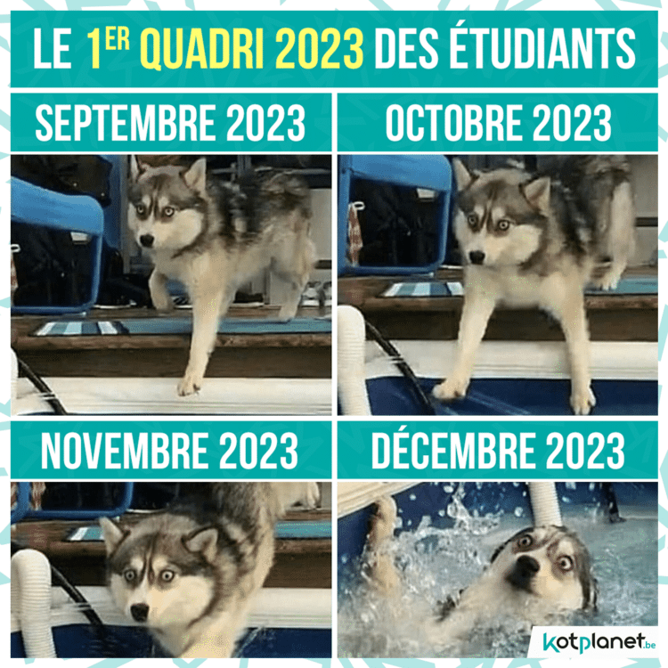 6 memes qui résument bien ton 1er quadri